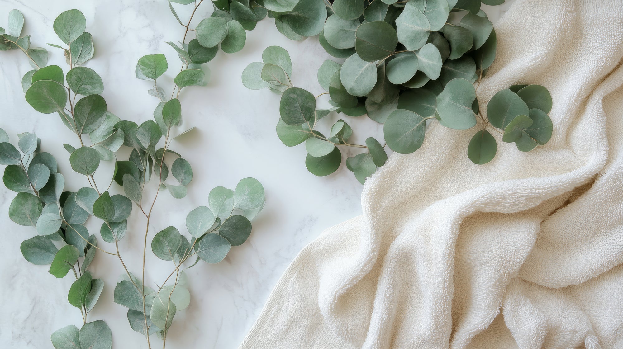 Plexus Merch Store – PlexusMerch.com